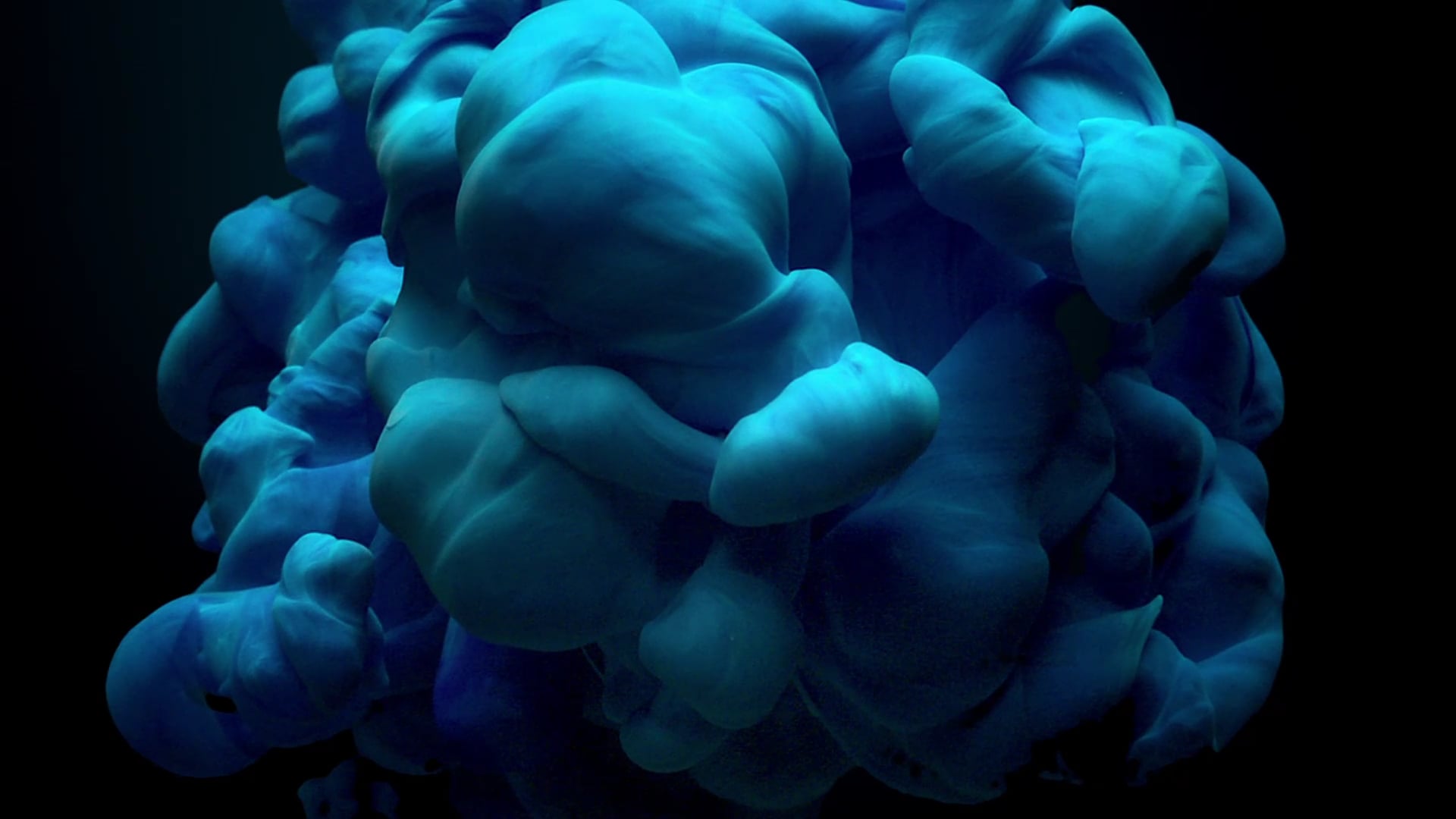 GRINDER FILMS - FNB Slow Lounge Ident Blue Ink on Vimeo