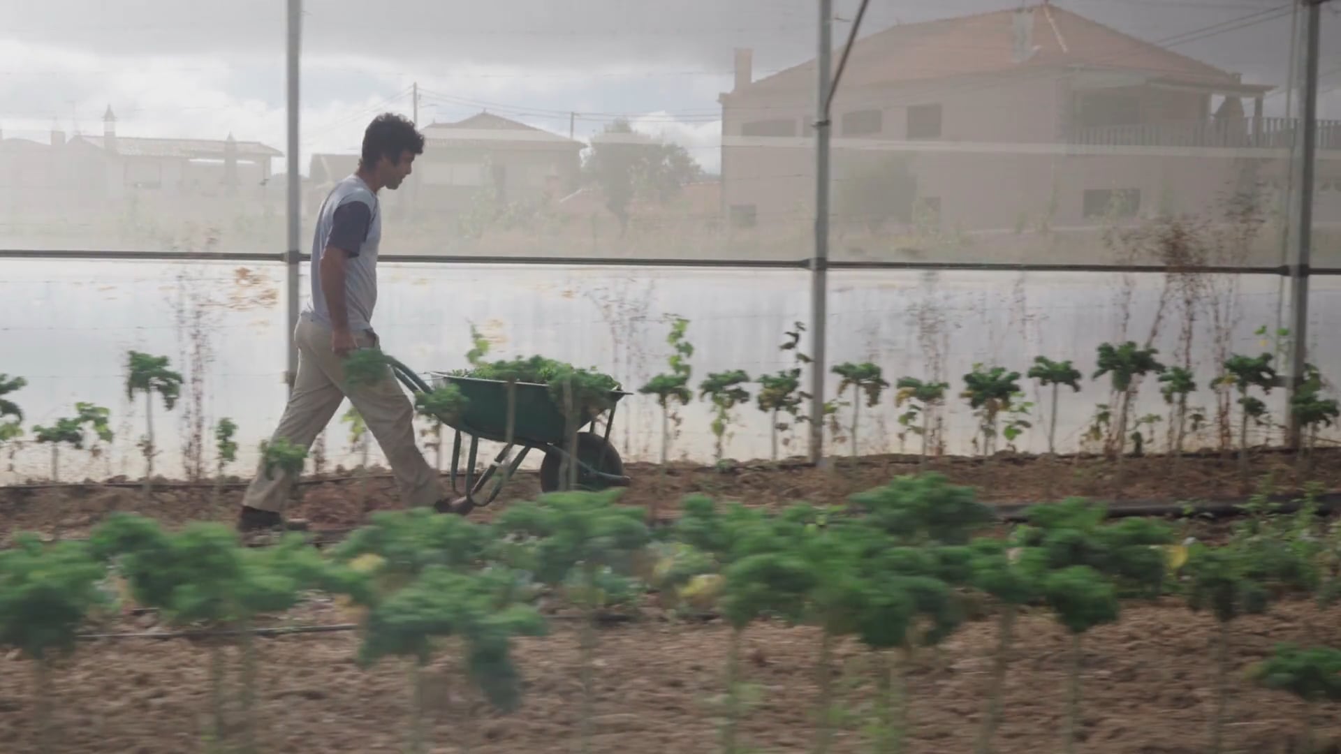 Quinta do Gil on Vimeo