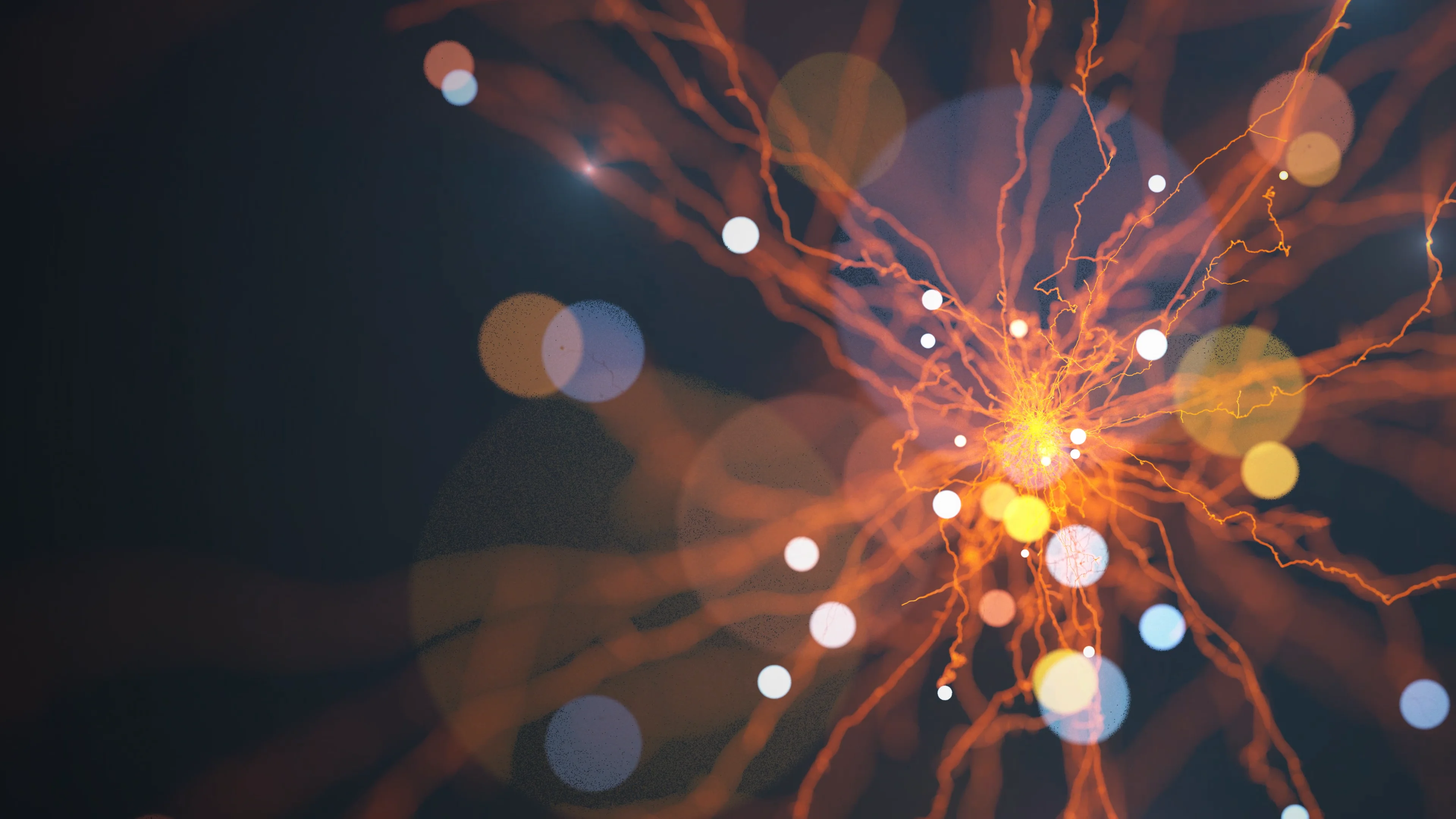 Senses on Vimeo