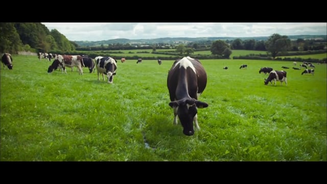 Origin Green on Vimeo