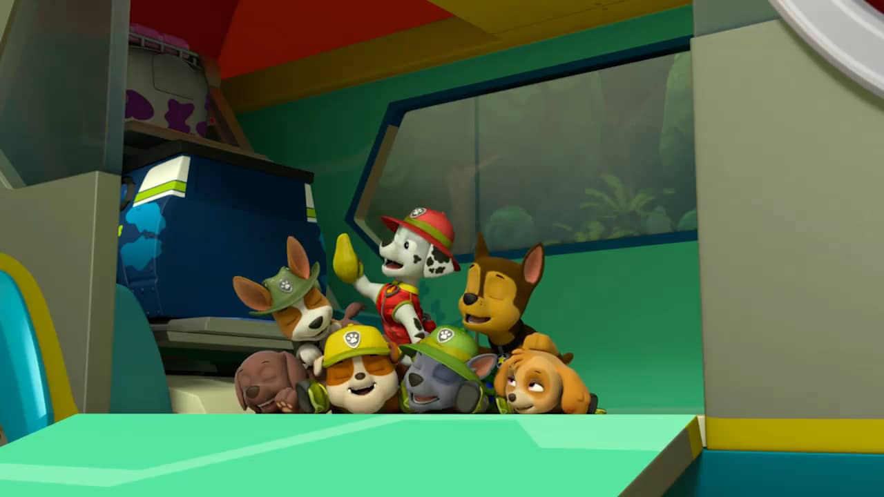 Nick Jr Fast and Furriest Stunt Paw Patrol Promo on Vimeo