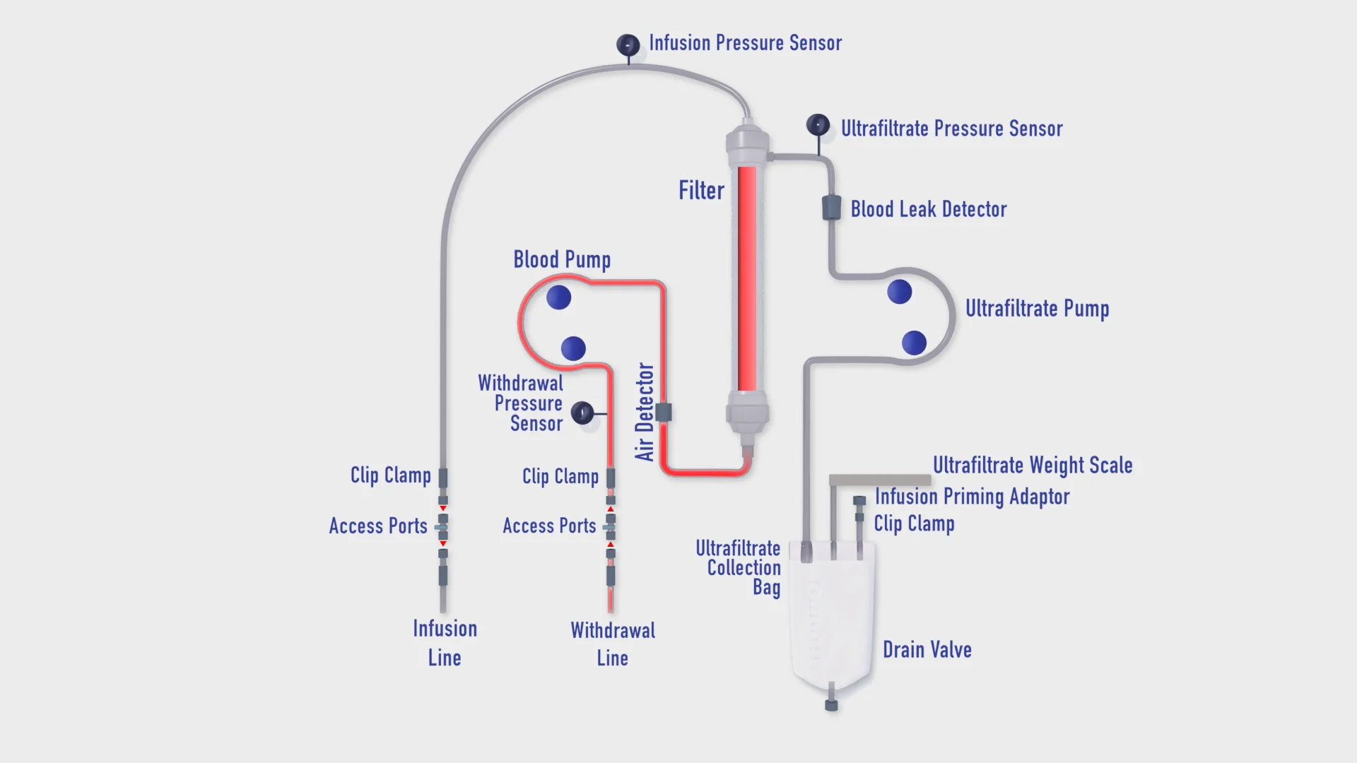 CHF Solutions - Animated Video | 2d Vector Graphics Animation ...