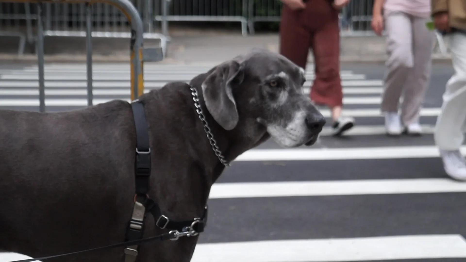 Define a Space_ Isabeau Lopez & Jon Johnson on Vimeo