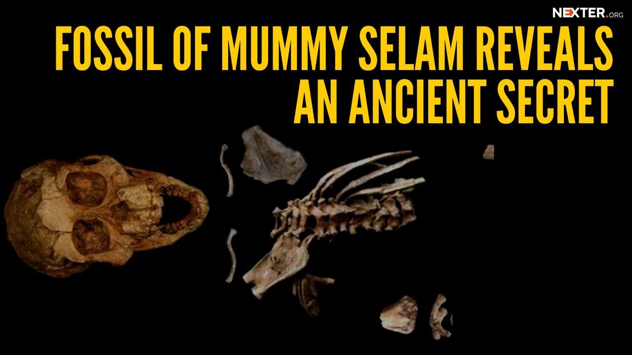 Fossils of mummy Selam reveals how children lived 3 million years ago ...