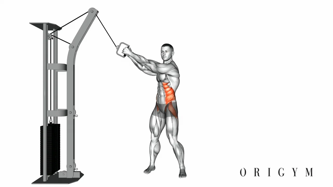 Cable Woodchop High to Low