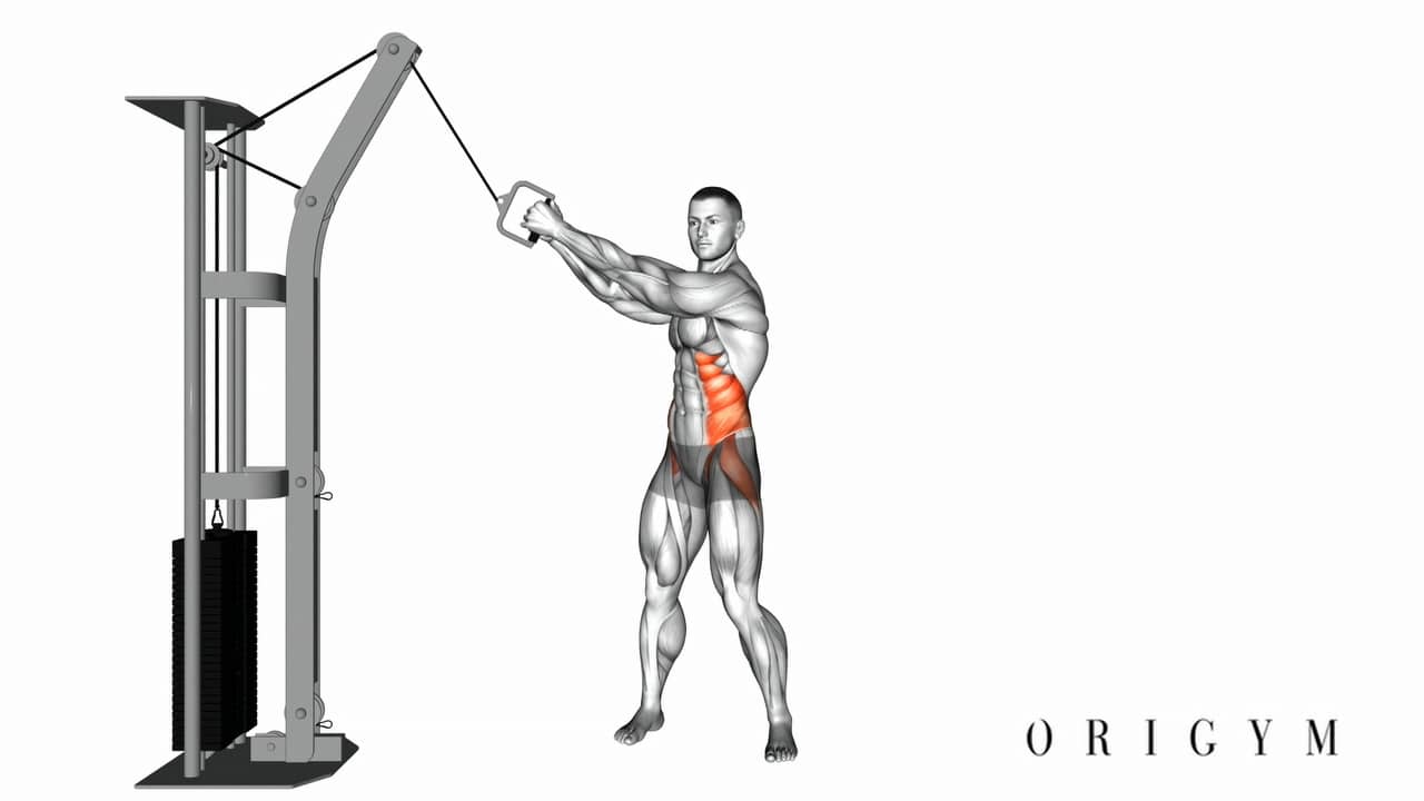 Cable Woodchop High to Low on Vimeo