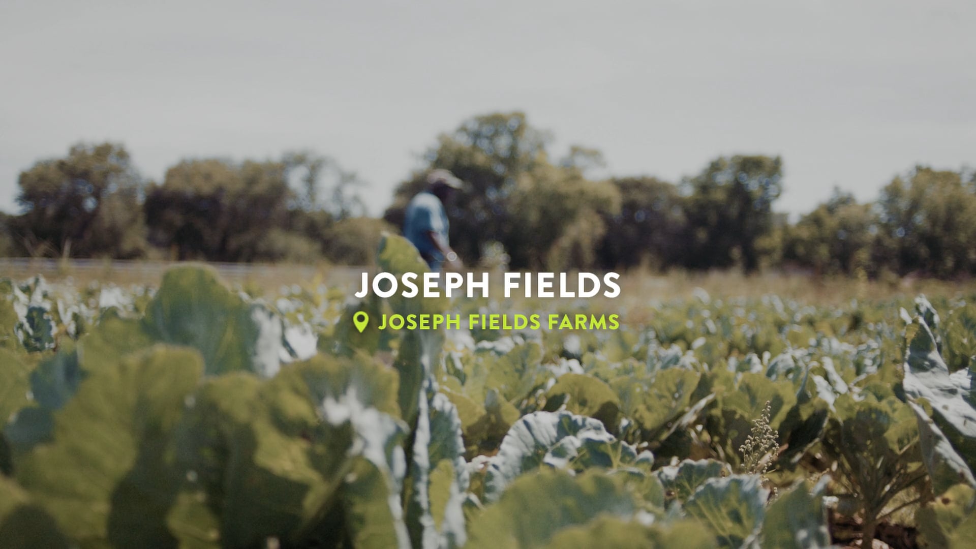 Joseph Fields - Fields Farm on Vimeo