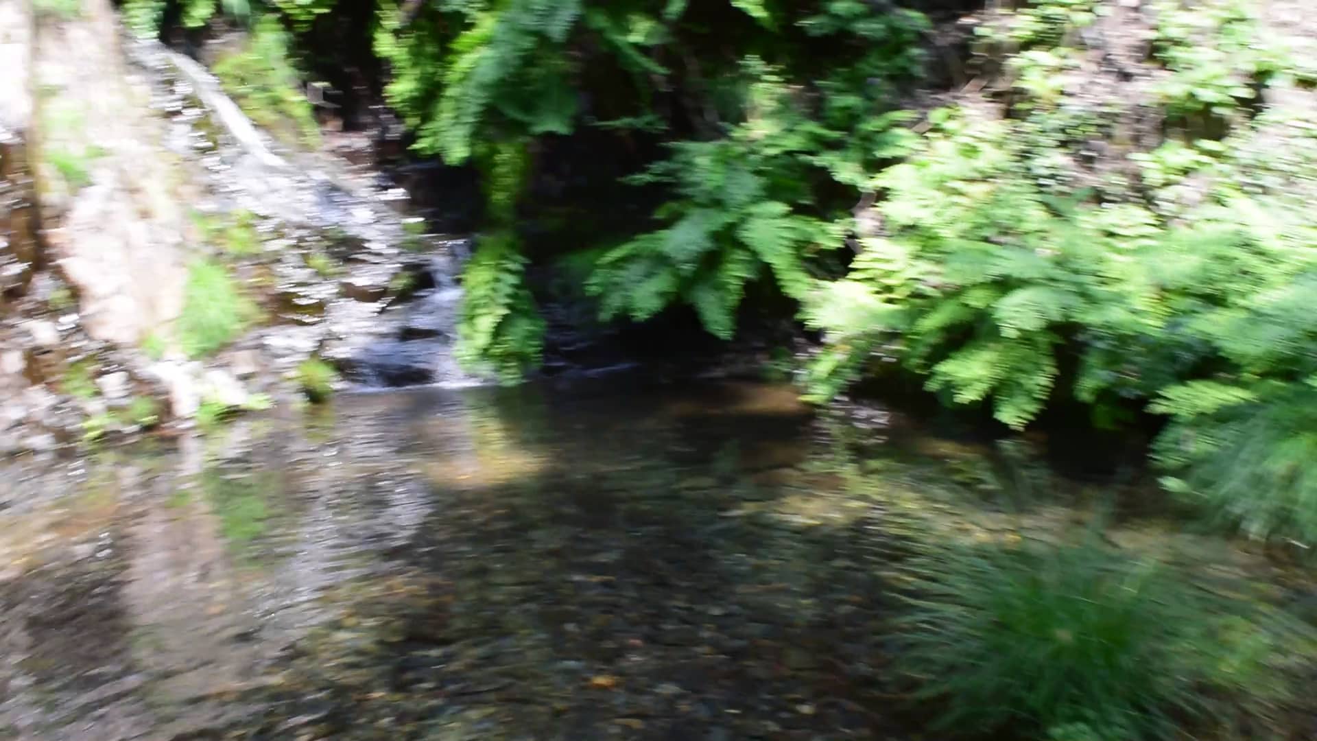 skinny dipping in a little pond with waterfall on Vimeo