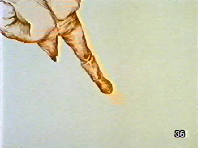 Walking - Ryan Larkin on Vimeo