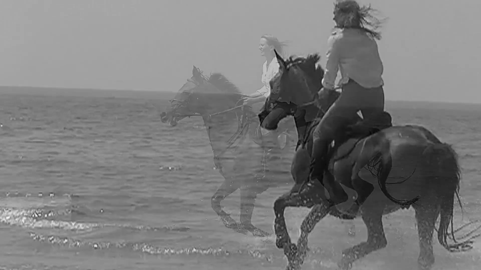 philippa-horse-beach-bw-bird on Vimeo