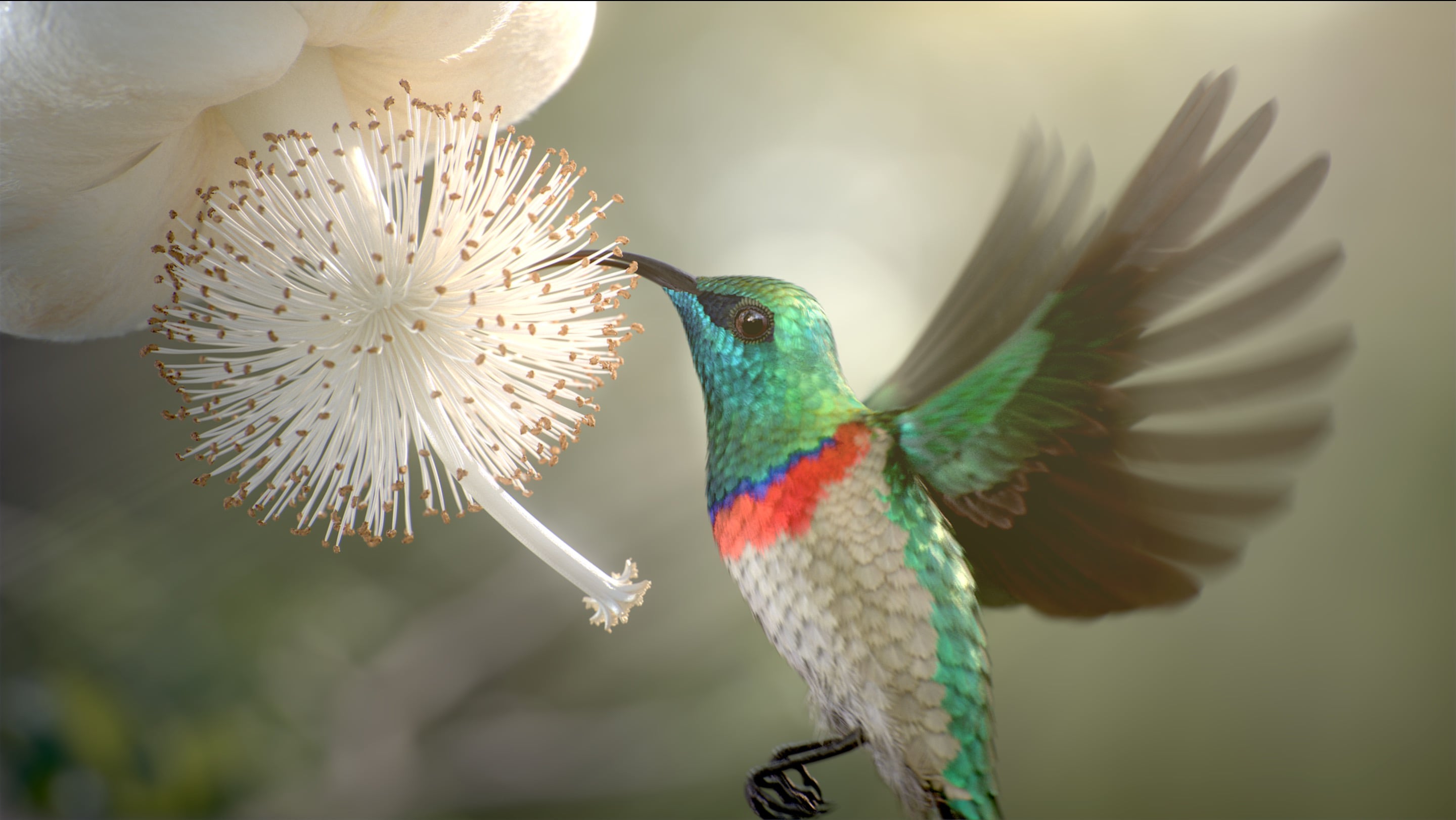 AVBOB Family Tree Centenary Anniversary 60" Spot on Vimeo