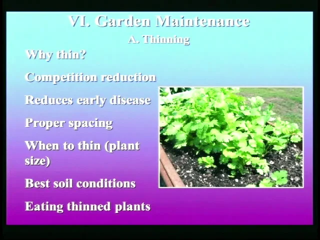 Vegetable Culture: Part 5 - Maintenance - with Gary Heilig on Vimeo