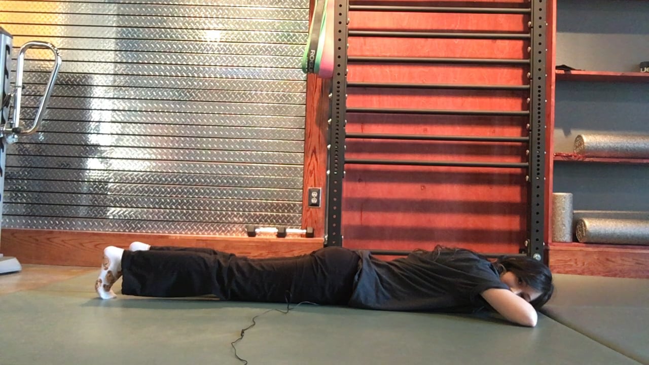 Modified Prone Extension on Vimeo