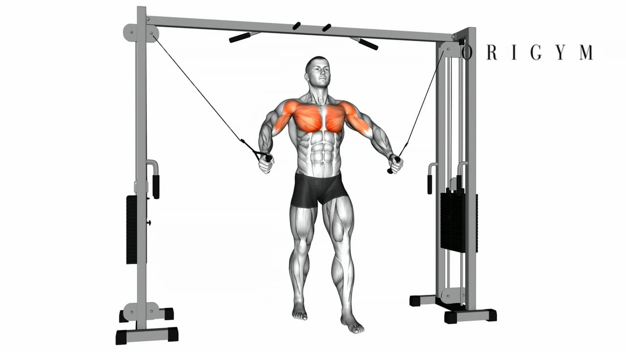 Cable Standing Crossovers on Vimeo