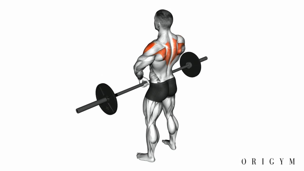 BB Upright Row on Vimeo