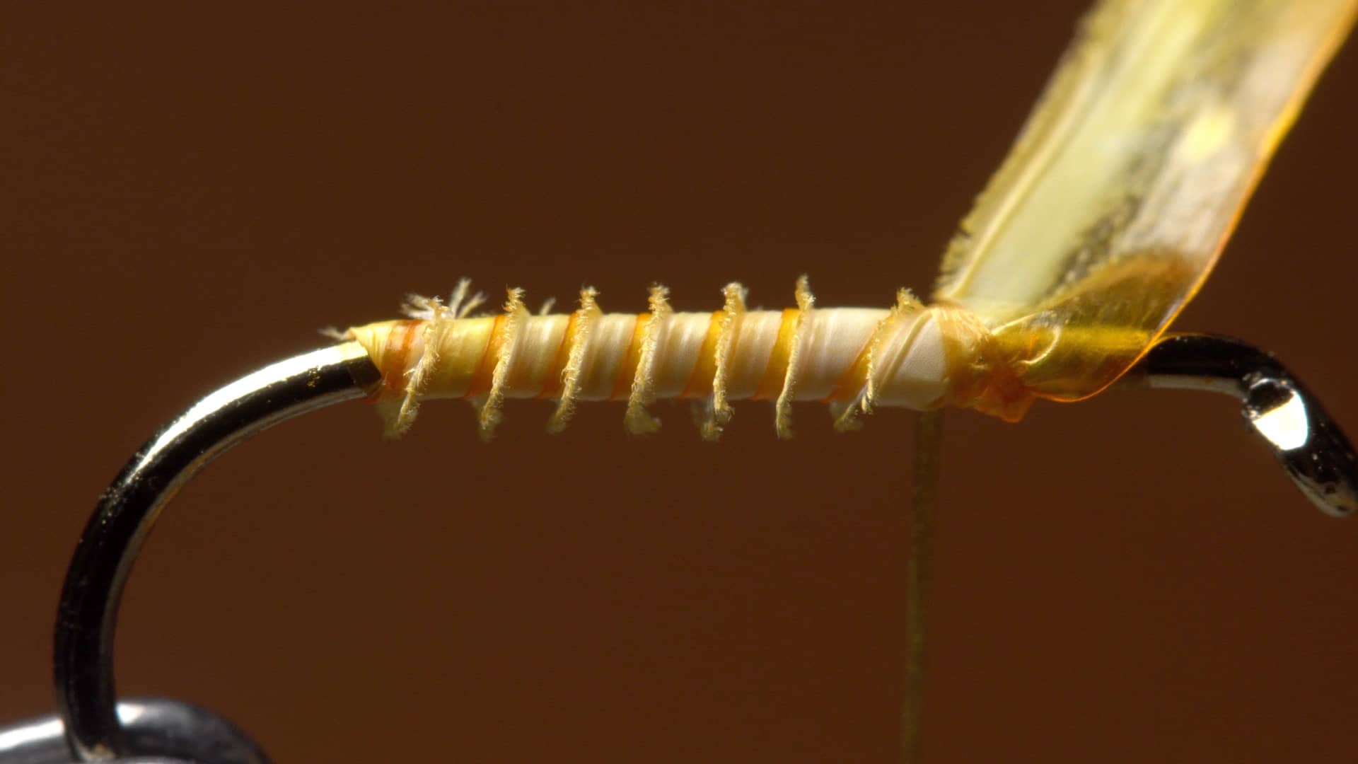 Biot Basics - Biot Bodies on Vimeo