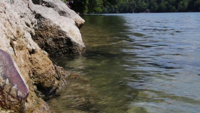 Riverside, Water, Flow. Free Stock Video - Pixabay