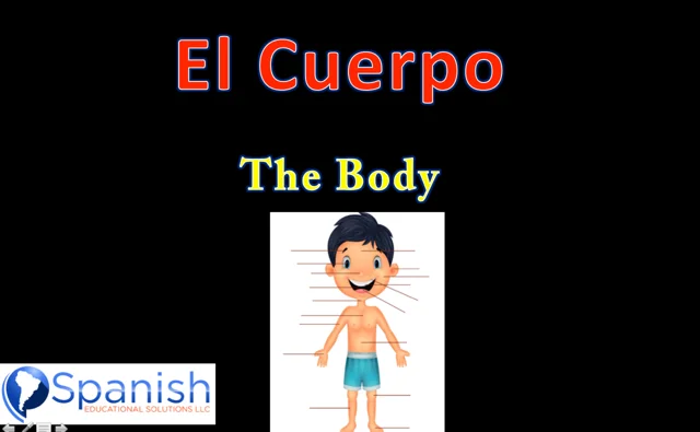 Bingo De Las Partes Del Cuerpo With Singular And Plural Body Parts D70