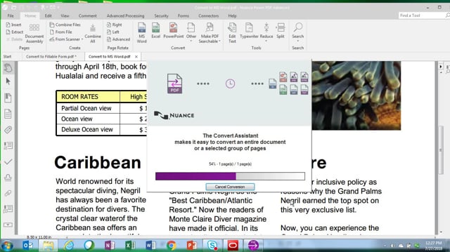 Nuance Power PDF Demo