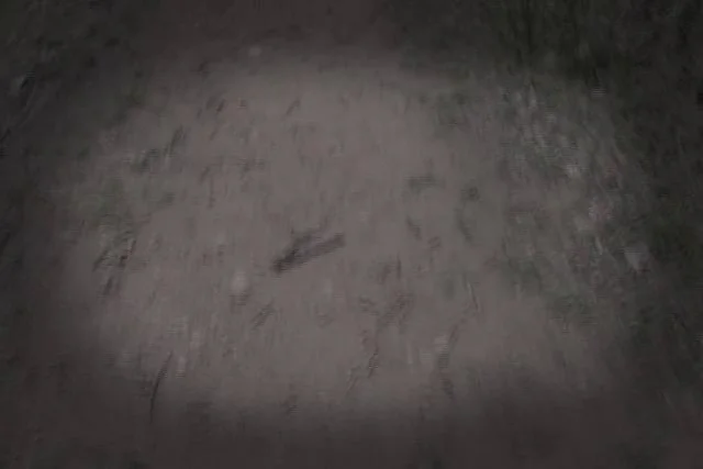 Andrea Haddock on Vimeo