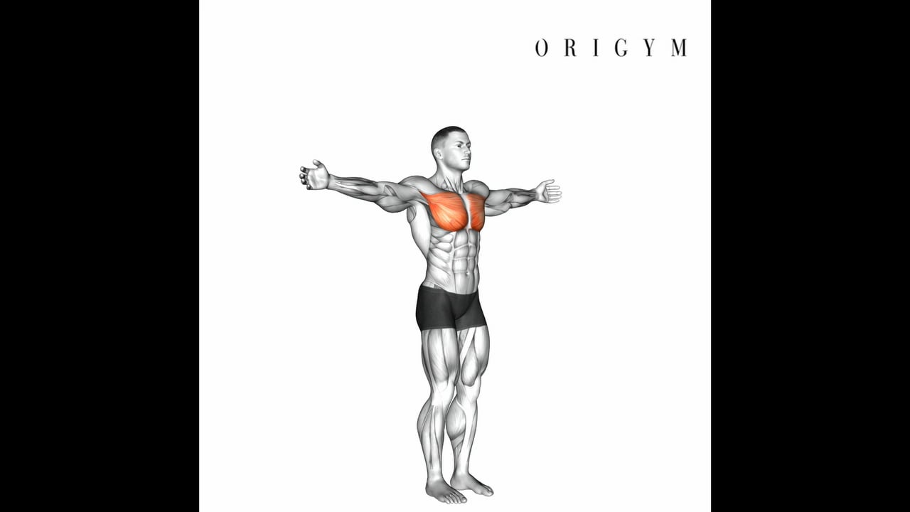 Shoulder Transverse Adduction (Horizontal Flexion) on Vimeo