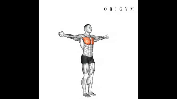 Shoulder Horizontal Flexion