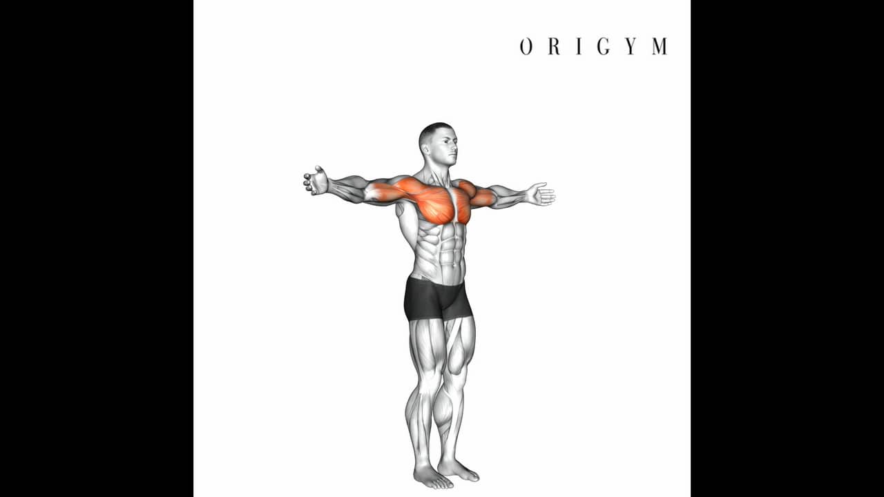 Shoulder Transverse Flexion (Horizontal Flexion) on Vimeo