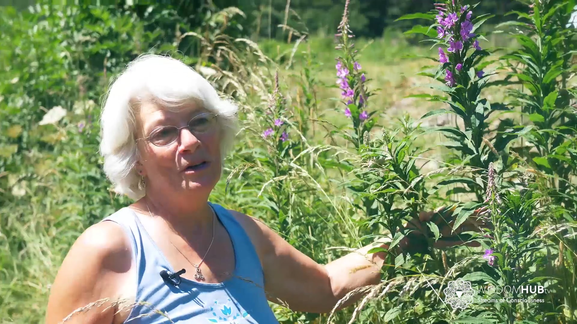 Plant Communication Online Workshop with Pam Montgomery on Vimeo