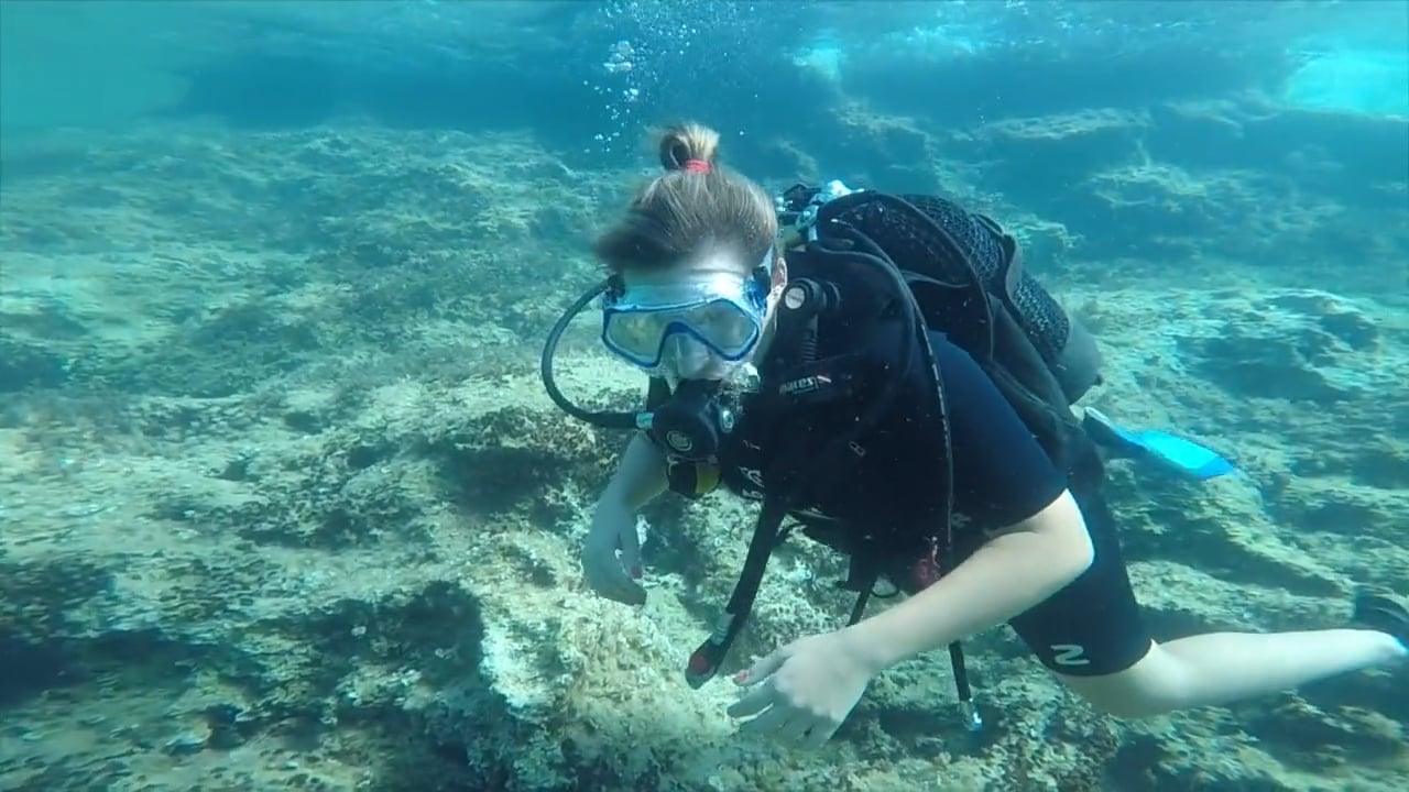 scuba_diving_2017_1280x720 on Vimeo