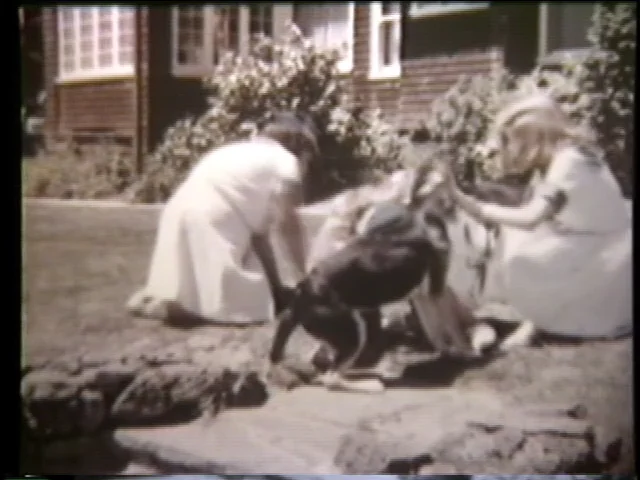 Brother Buzz TV Series - Myras Guide Dog on Vimeo