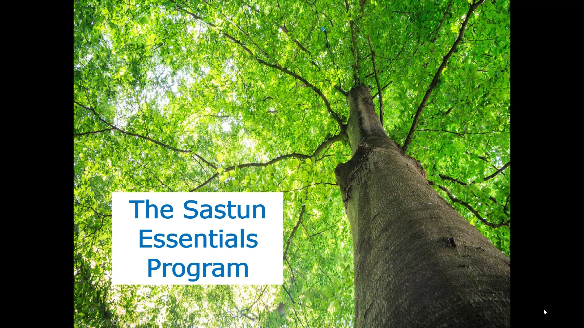 Sastun Essentials Program