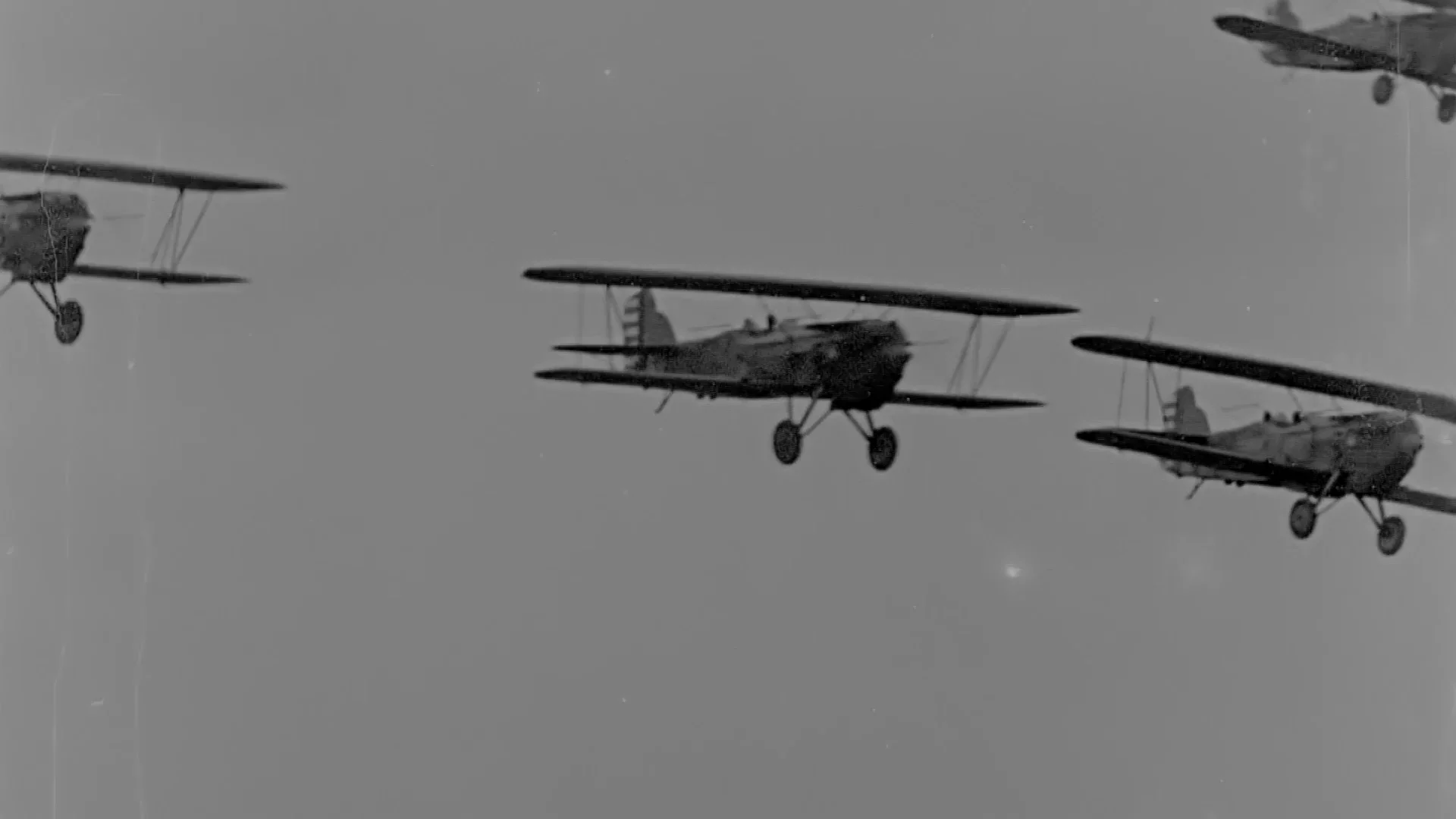 Watch the Fly Girls Video Trailer