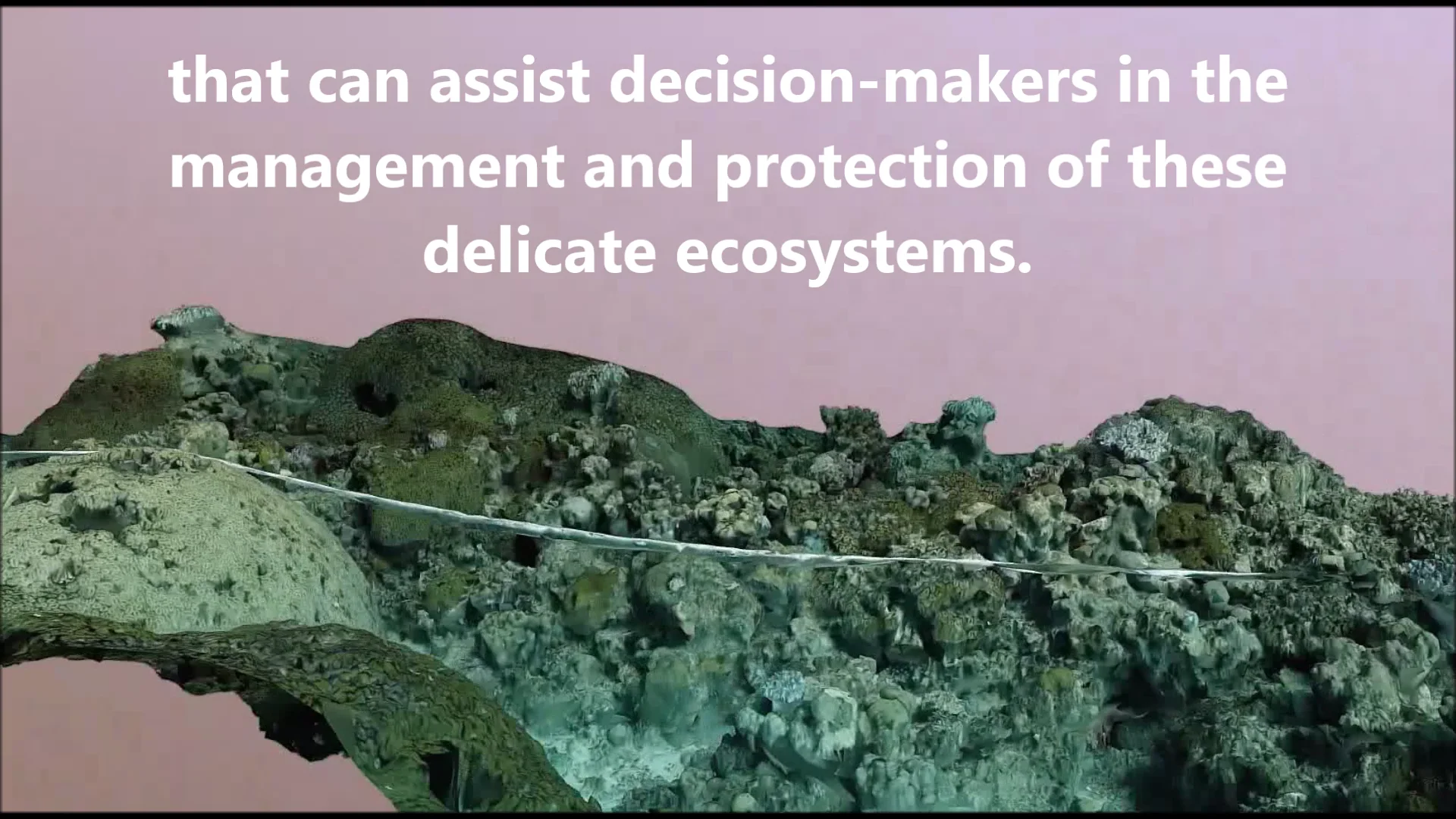 Depiction of Coral Reefs Through Advanced 3D Photogrammetry on Vimeo