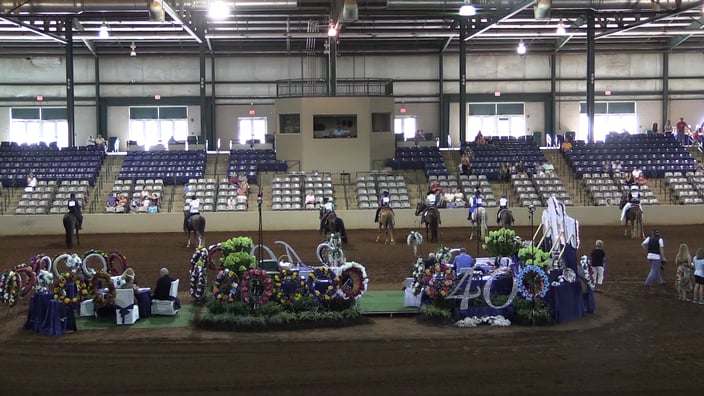 226International2018 on Vimeo