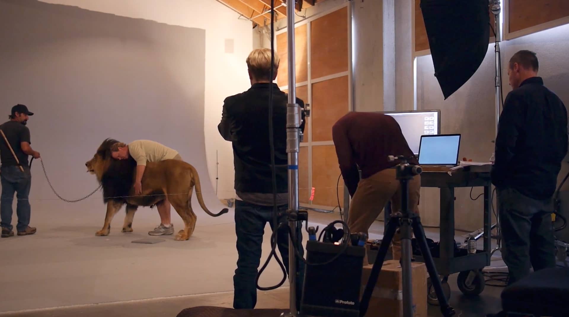 Randal Ford | The Animal Kingdom on Vimeo