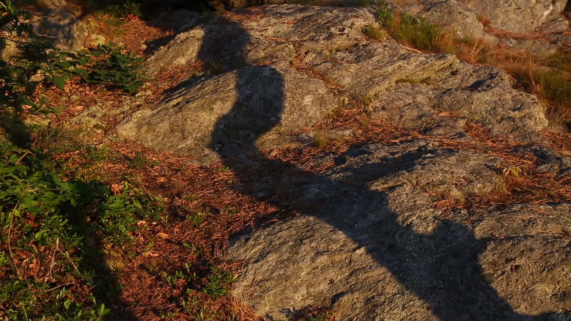 collected moments | Videos & Movies on Vimeo