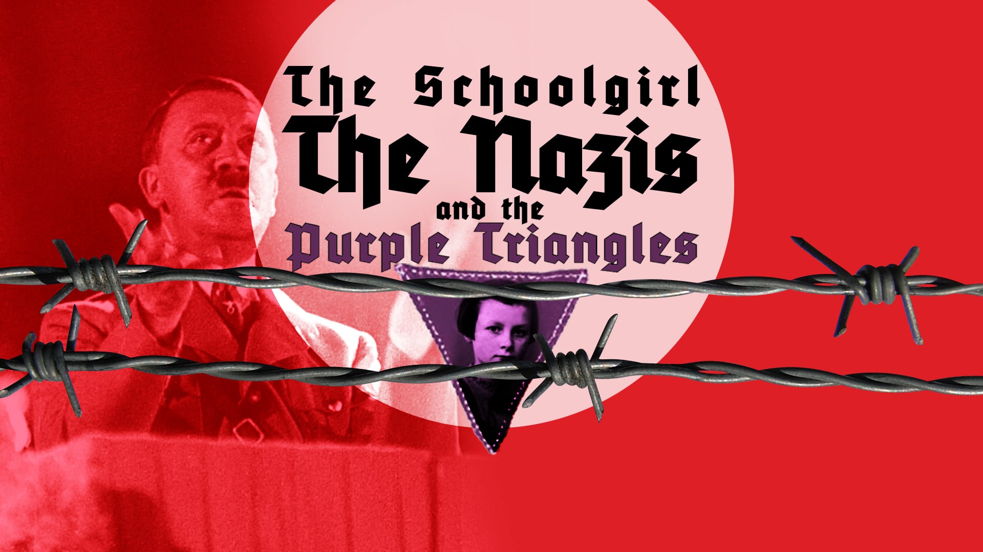 The Schoolgirl The Nazis And The Purple Triangles - AWARD WINNING ...