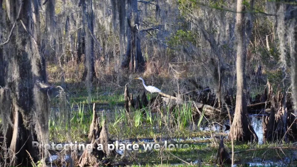 Jean Lafitte Fisher Tidal Levee Protection Phase 3 on Vimeo