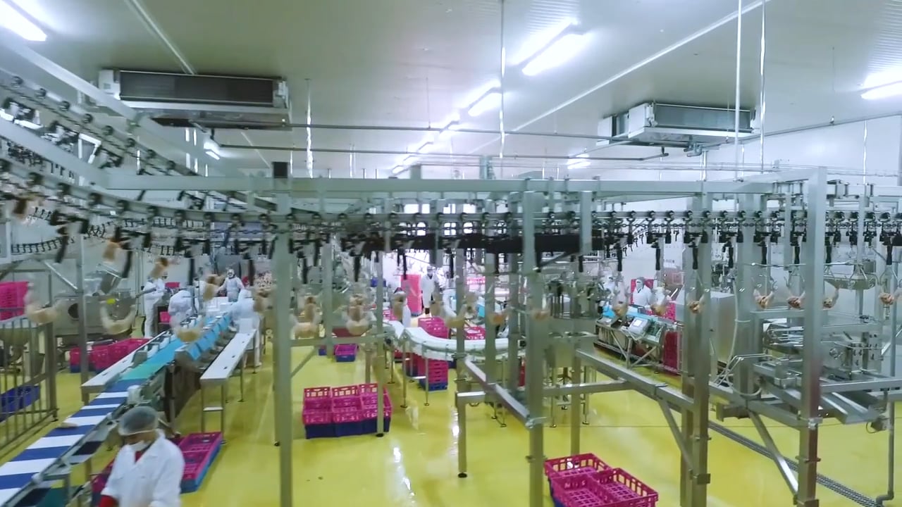 ADDOHA Chicken دواجن الدوحه on Vimeo