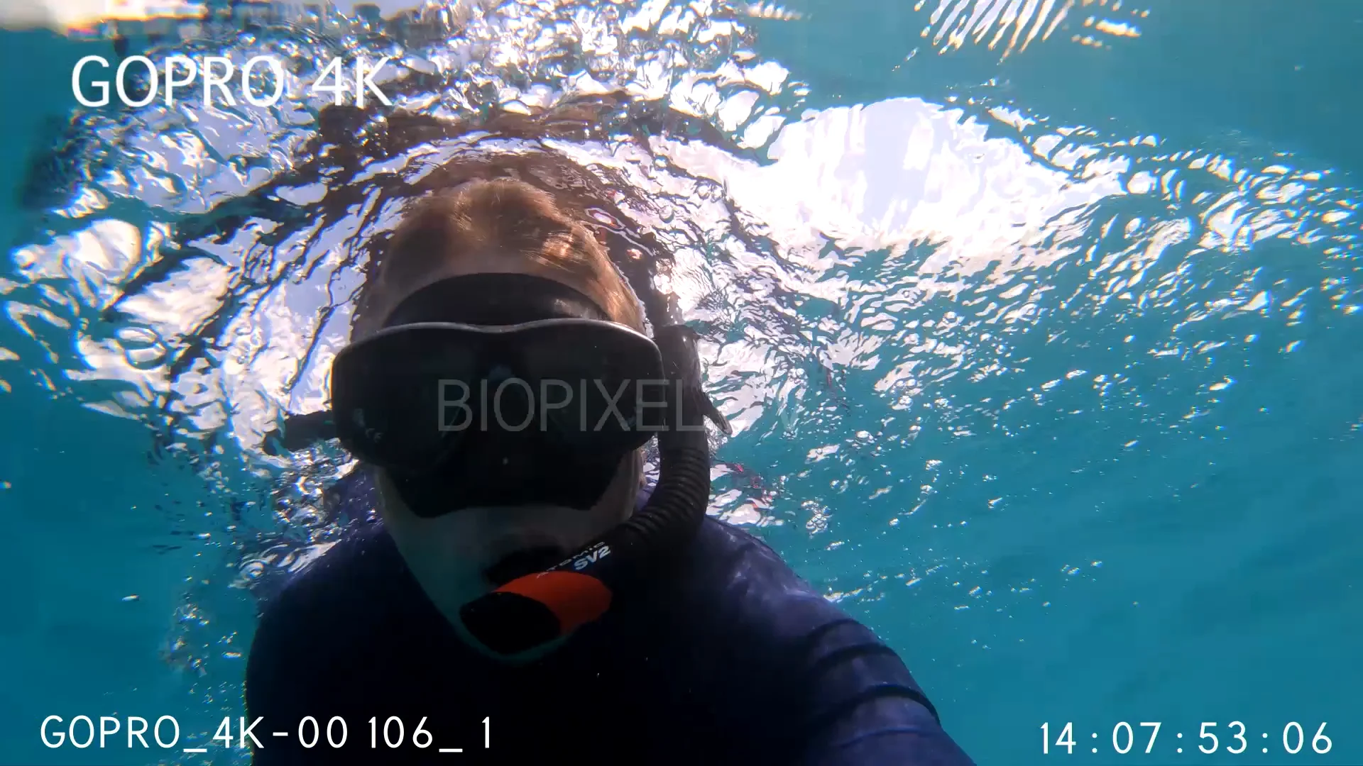 4K Manta Ray - Manta tagging gopro 4K on Vimeo