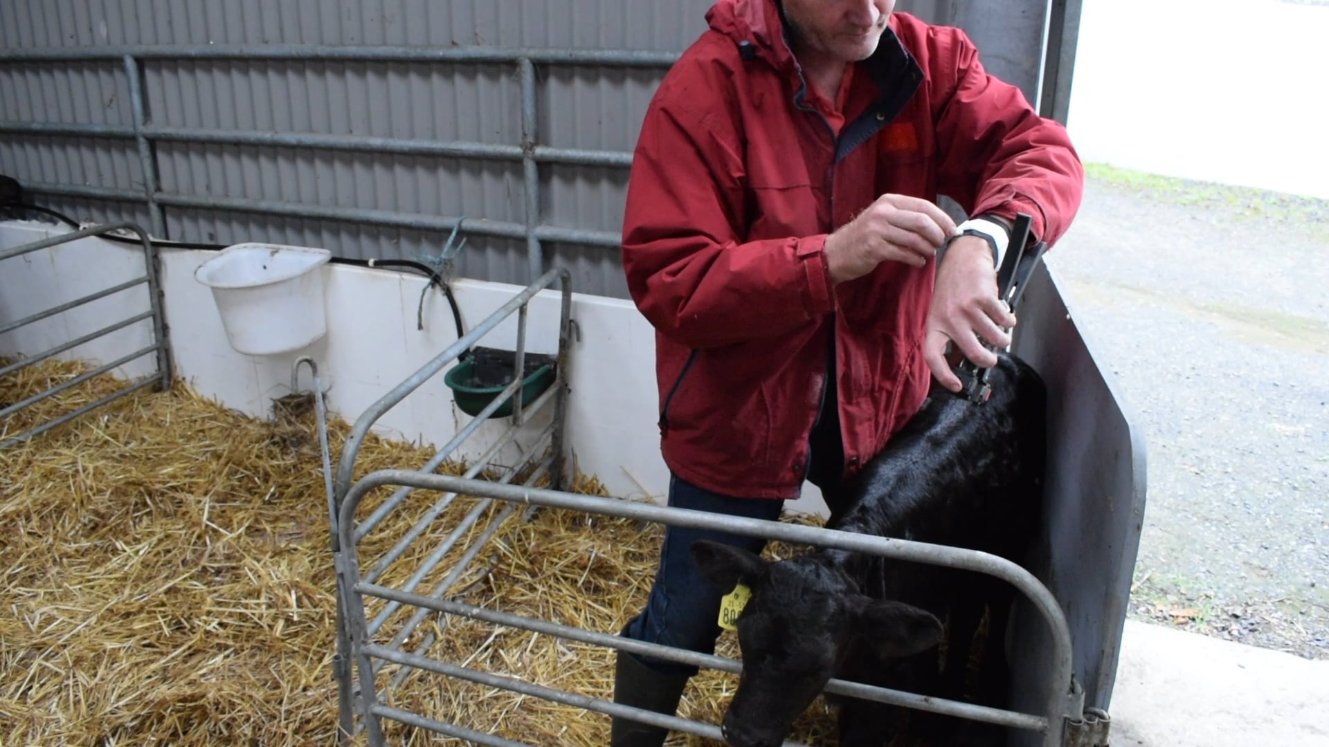 Cormac Tagging Tissue Sample Wristband on Vimeo