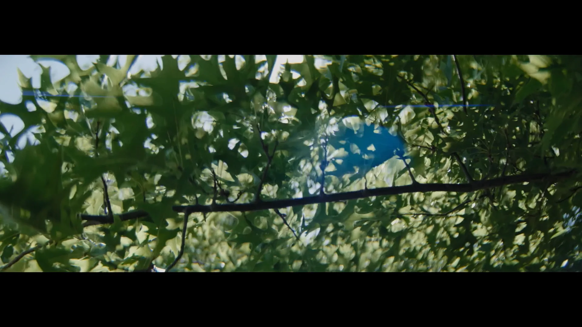 radius Video Collection - Sarah Valentini, principal and co-founder ...