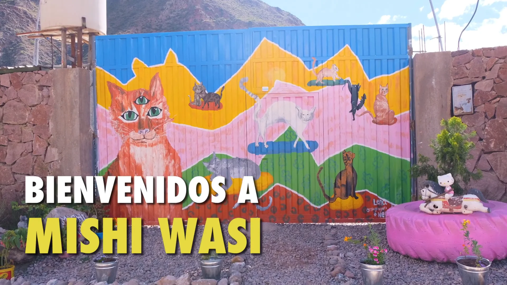 Mishi Wasi Mochileros y Albergue para Gatos on Vimeo