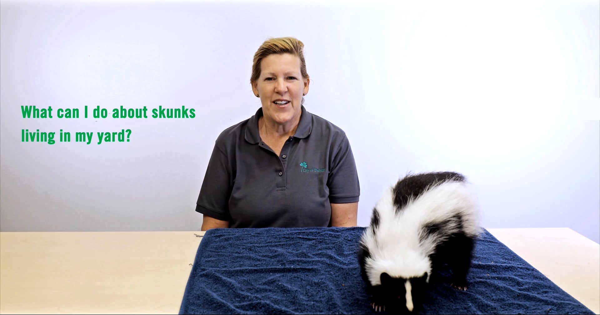 Skunks - Barbara Ray Answers your Nature Questions on Vimeo