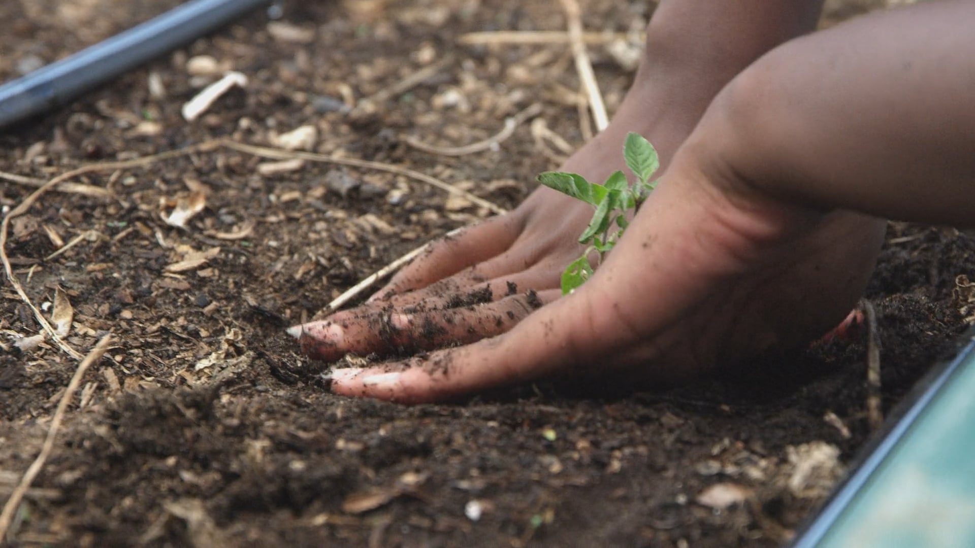 Upworthy / Garnier: SPROUT NOLA on Vimeo