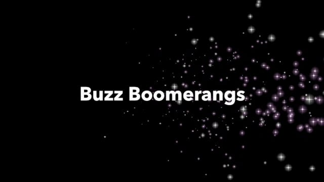 Buzz Boomerangs on Vimeo