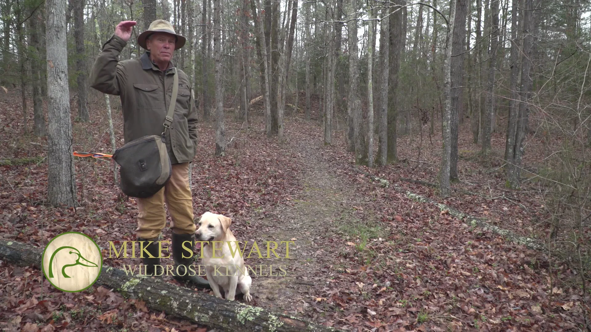 Track a Bird on Vimeo