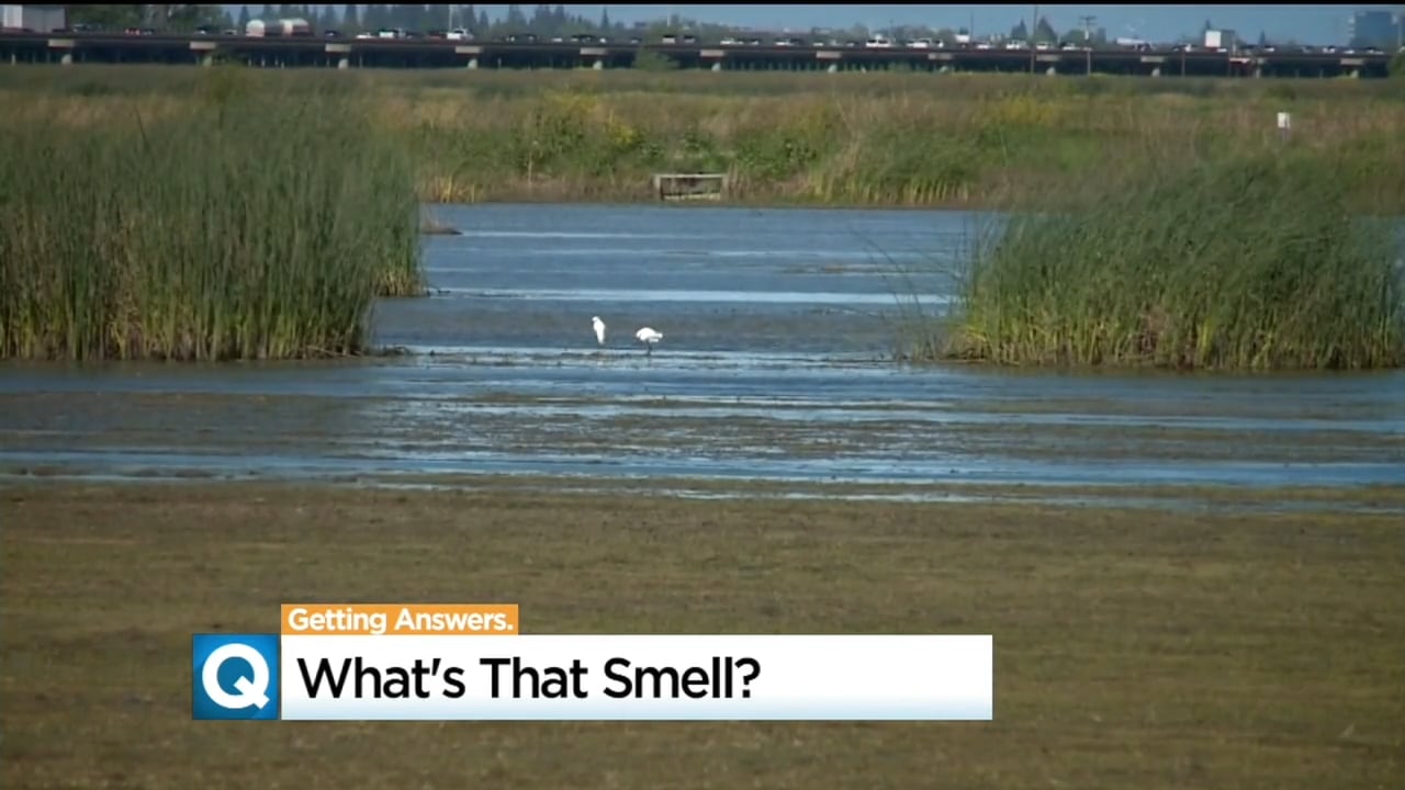 Jennifer McGraw - Jennifer McGraw "What's That Smell" on Vimeo