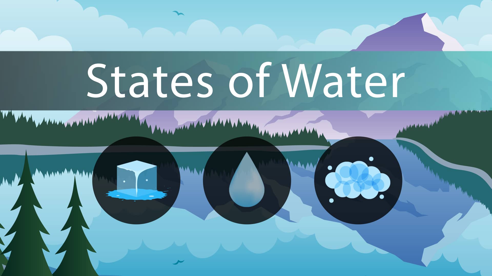 States of Water on Vimeo