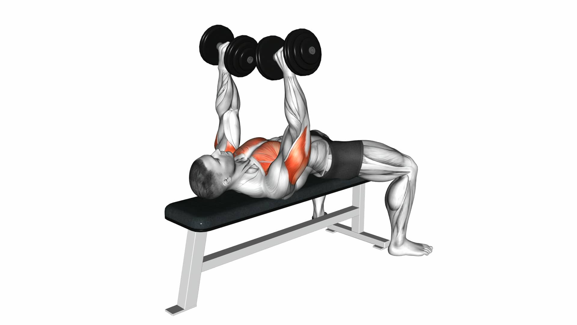 04361201-Dumbbell-Tate-Press Triceps on Vimeo